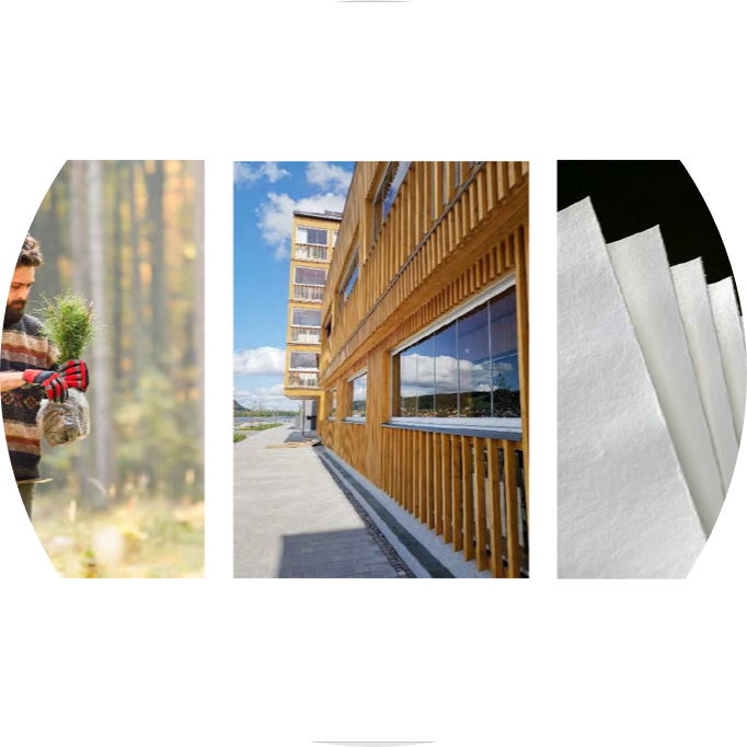 Forest Based Sector Technology Platform Ftp Ftp Research And