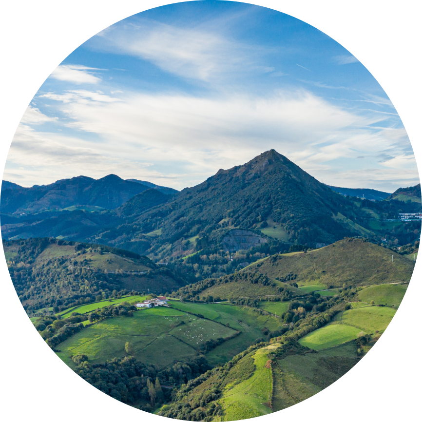 Bioeconomy Innovation Day 2023 - Forest-based Sector Technology Platform (FTP)