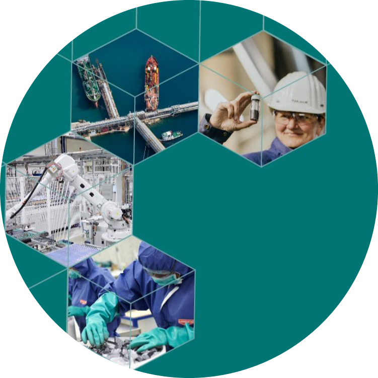 Forest-based Sector Technology Platform (FTP) - FTP Research and ...