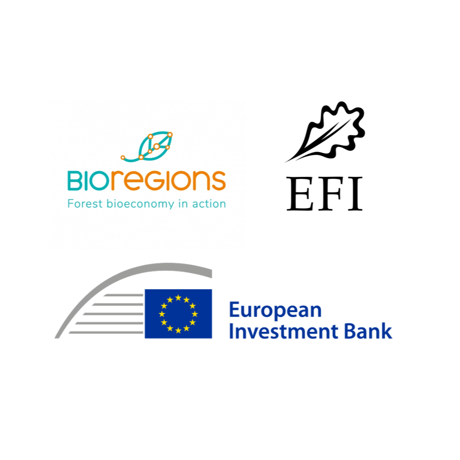 Workshop: Scaling up Forest-based Innovations in Europe - Forest-based ...