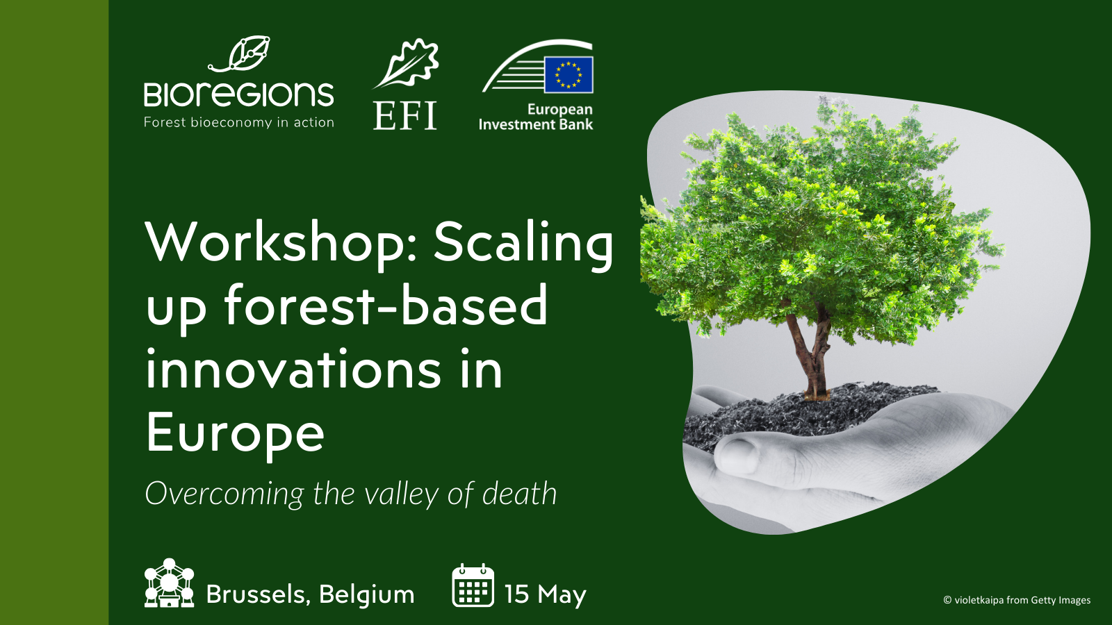 Workshop: Scaling up Forest-based Innovations in Europe - Forest-based Sector Technology ...